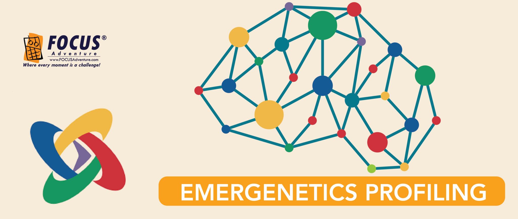 Proven Corporate Team Building Provider - FOCUS Adventure